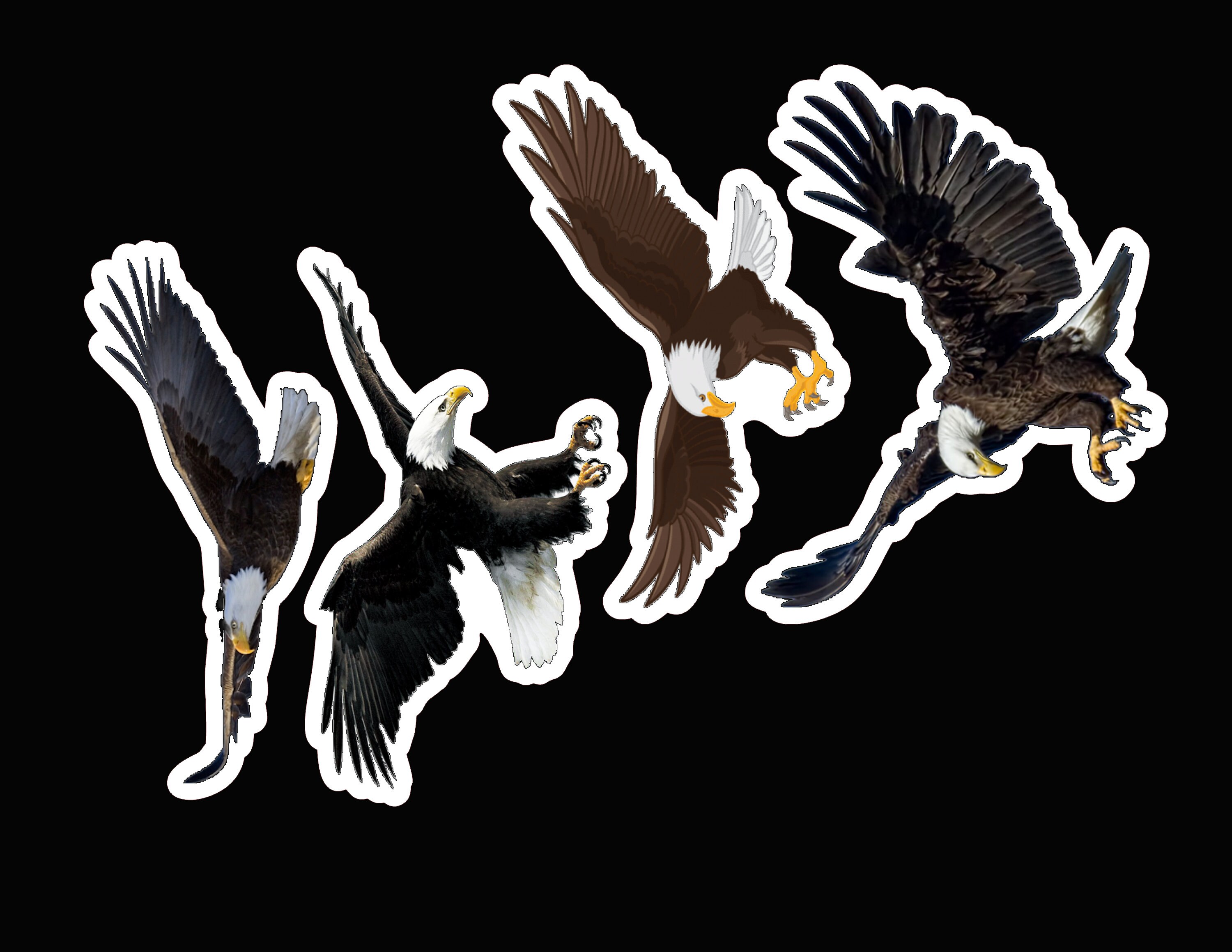 Eagle Sticker Pack Laminated Vinyl Waterproof Stickers - Etsy