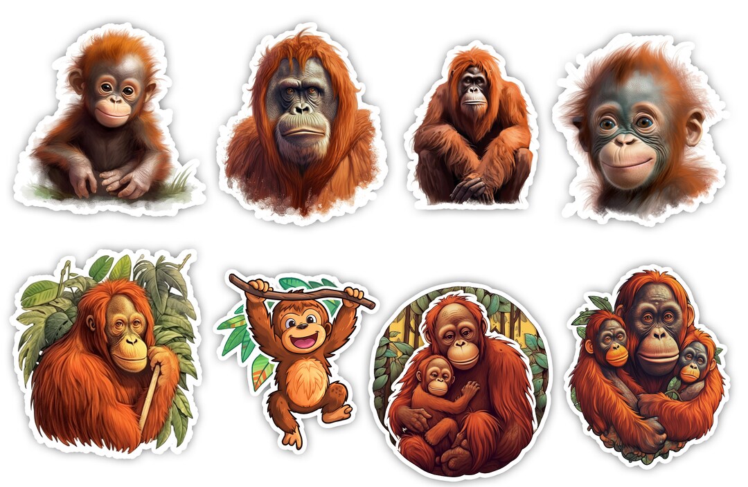 Orangutan Sticker Pack Laminated Vinyl Waterproof Stickers - Etsy