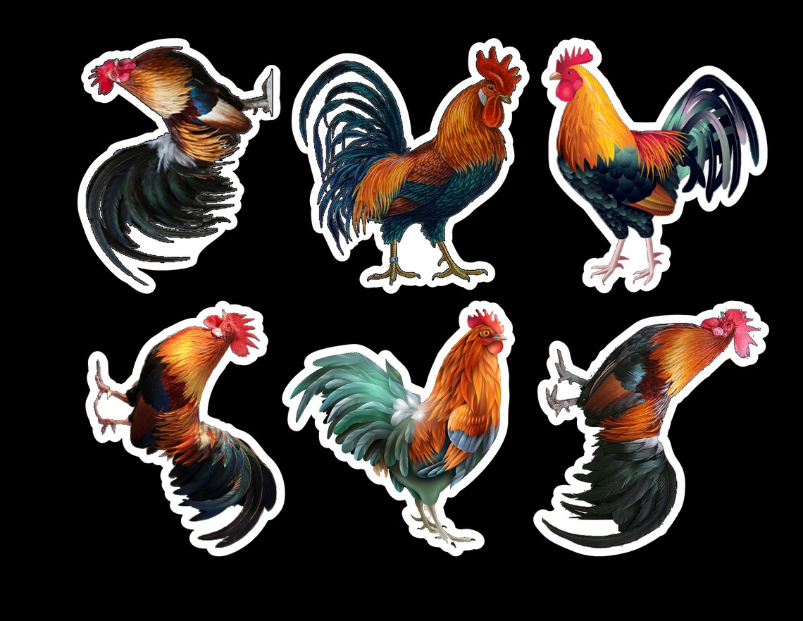 Rooster Sticker Pack Laminated Vinyl Waterproof Stickers - Etsy