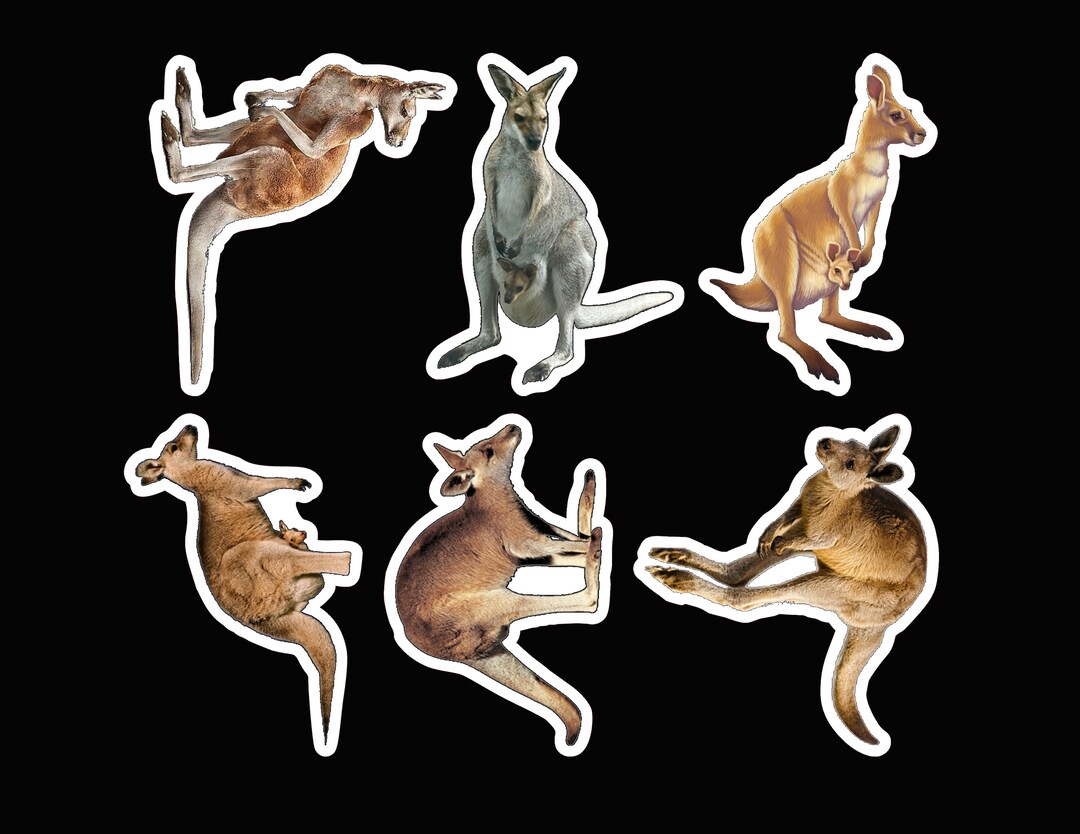 Kangaroo Sticker Pack Laminated Vinyl Waterproof Stickers - Etsy