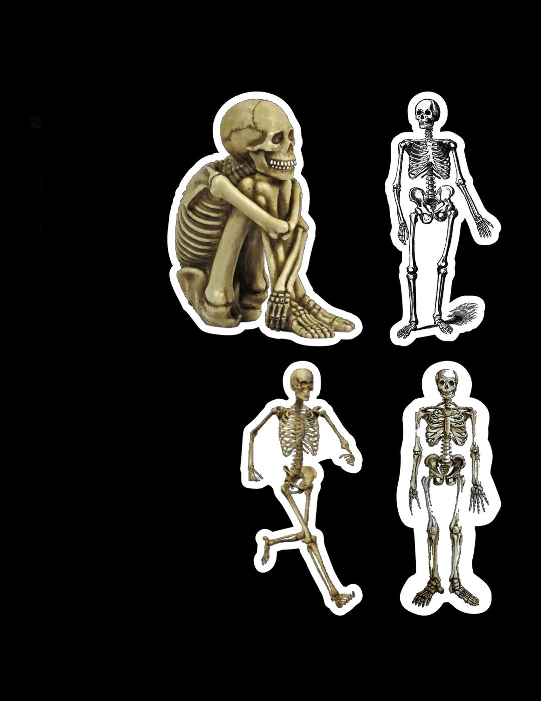 Skeleton Sticker Pack Laminated Vinyl Waterproof Stickers - Etsy