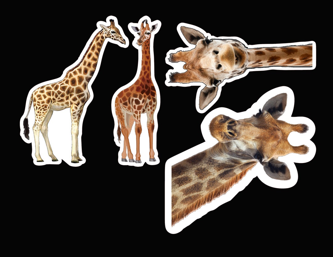 Giraffe Sticker Pack Laminated Vinyl Waterproof Stickers - Etsy