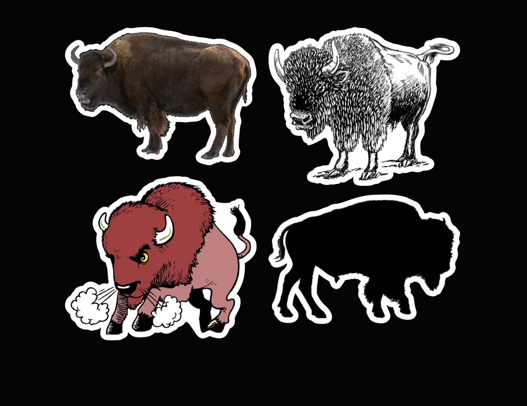 Bison Sticker Pack Laminated Vinyl Waterproof Stickers - Etsy
