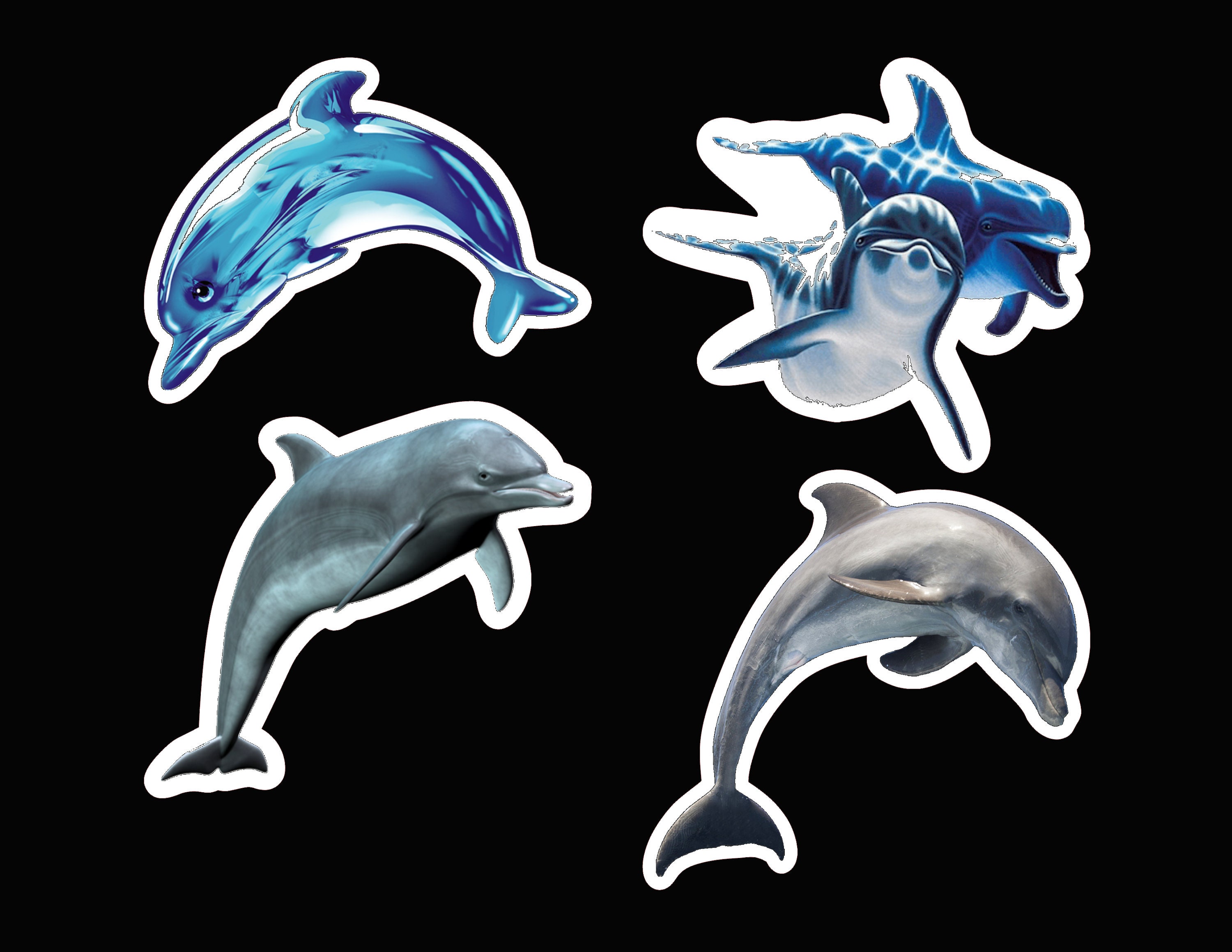 Dolphin sticker pack laminated vinyl waterproof stickers | Etsy