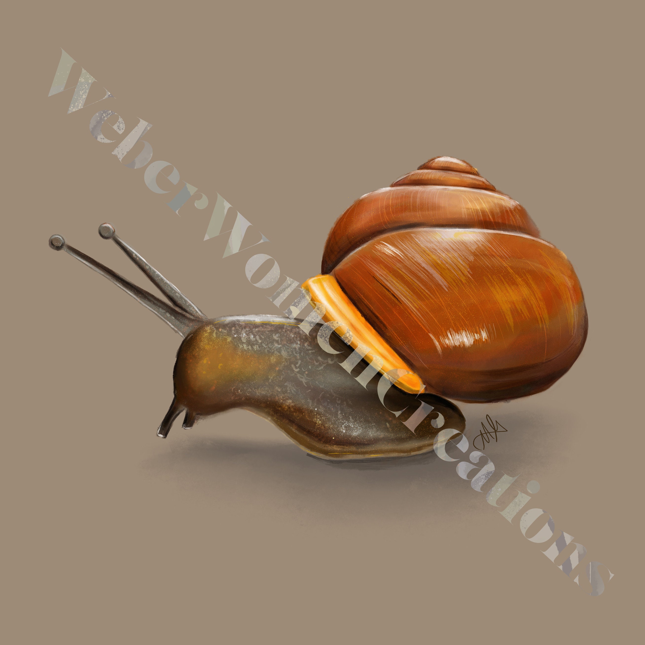 Snail Wall Art Digital Painting Inspirational quote sign | Etsy