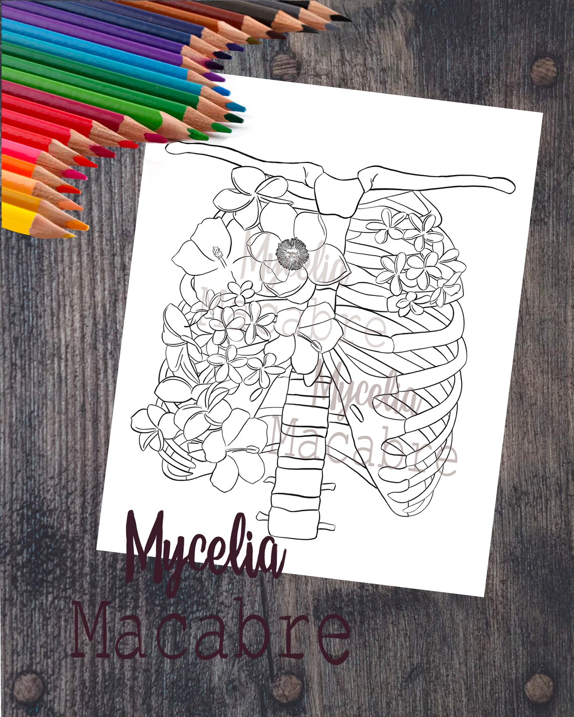 Human Rib Cage Coloring Page /anatomical Coloring Page/ Printable Diy ...