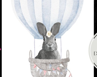 Girly Peter Rabbit - Etsy