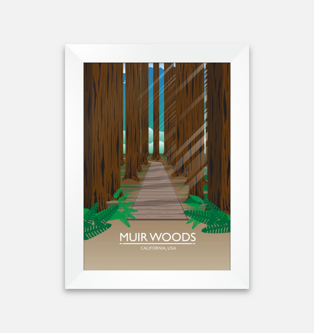Muir Woods Print, Muir Woods Poster, Redwoods, Travel Poster, Travel ...