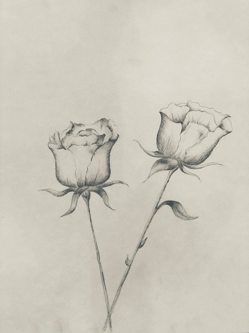 Roses, Fine Art, Original Artwork, Living Room Art, Dining Room Art ...