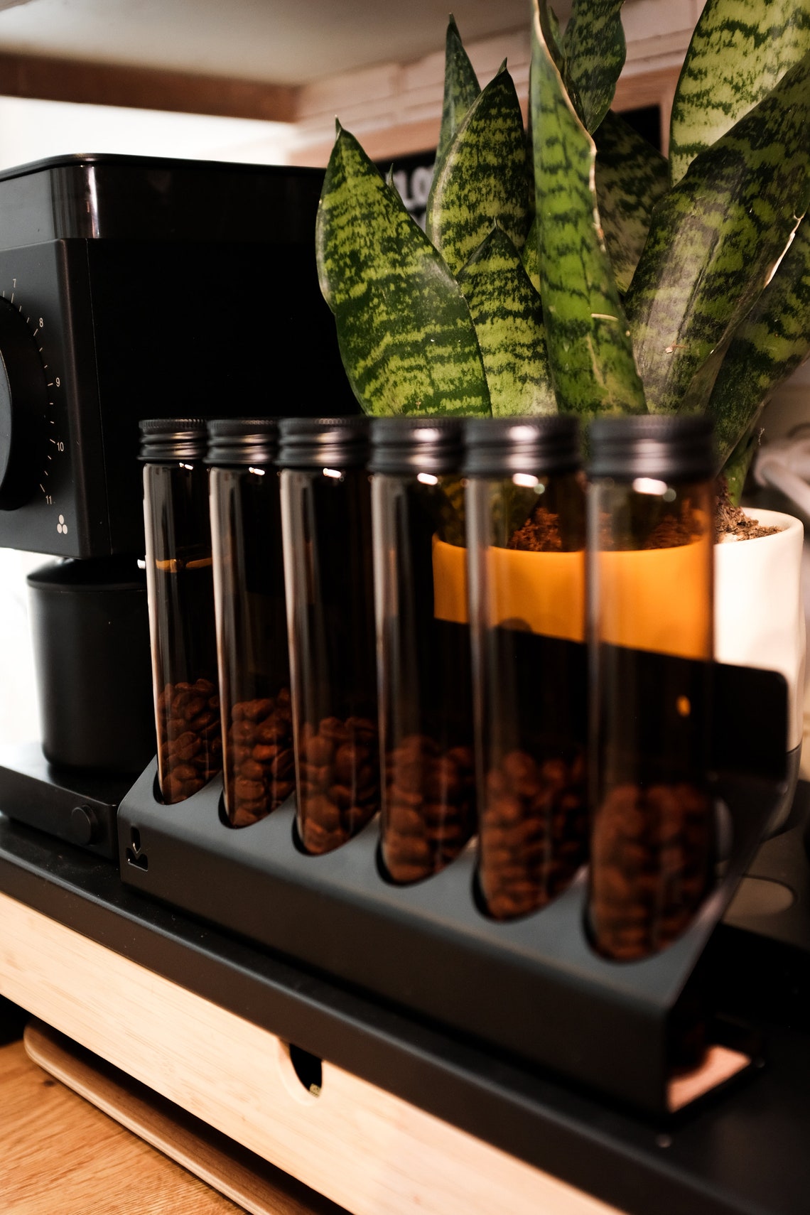 Coffee Bean Capsules Coffee Bean Cellars Coffee Bean - Etsy