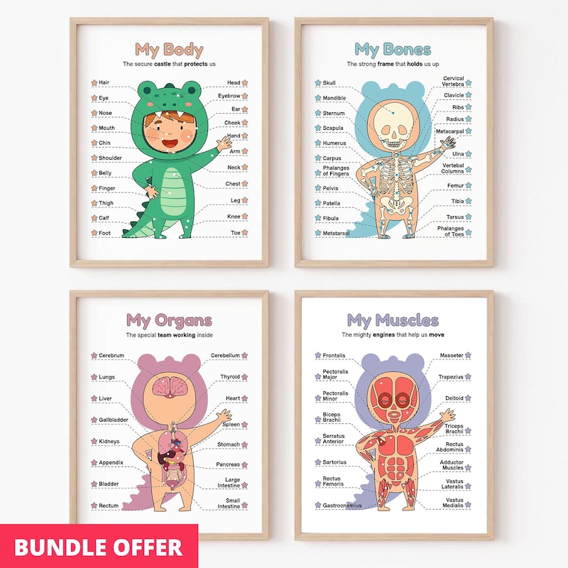 Anatomy Poster School Nurse - Etsy