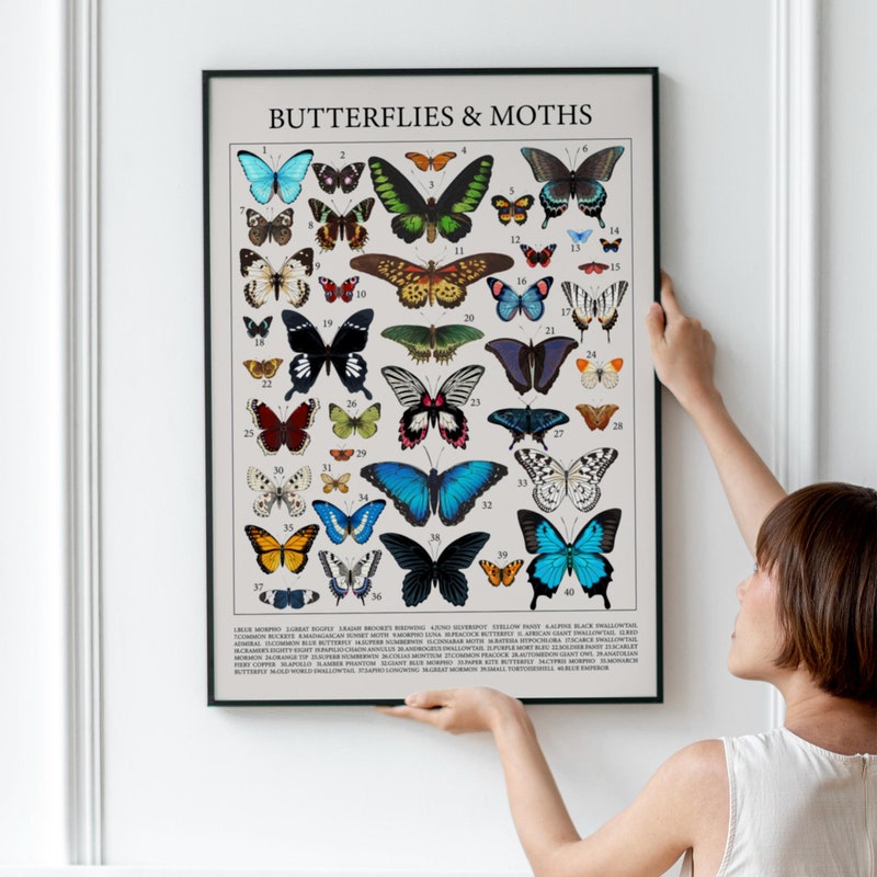 Butterfly Poster - Etsy
