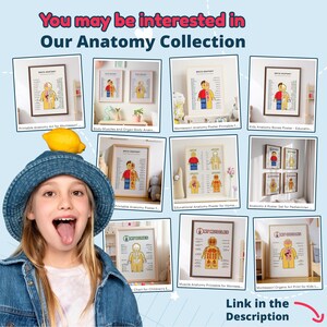 Zones of Feelings Poster, Emotions Chart, Therapy Office, School ...