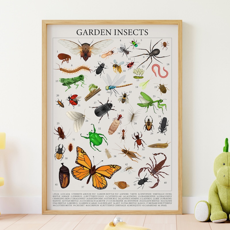 Insect Kids Posters - Etsy UK