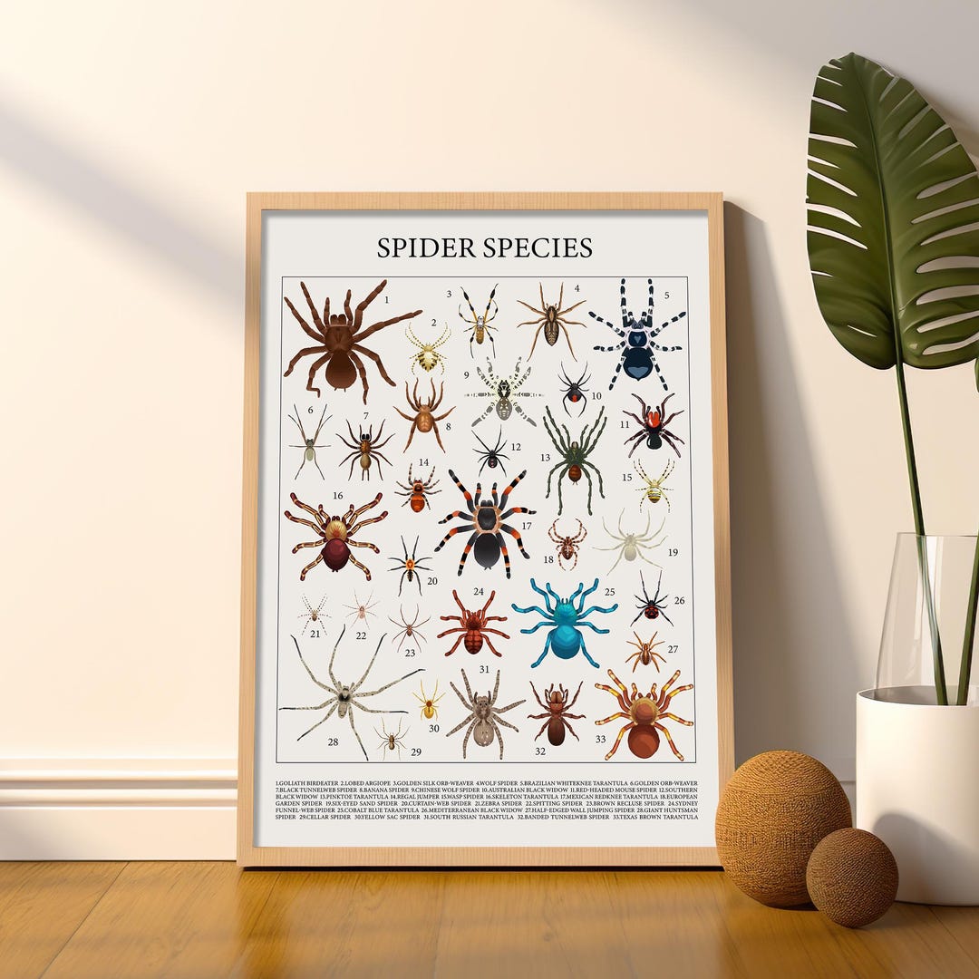Spiders Poster: Creepy Poster With Black Widow & Other Spiders Insects ...