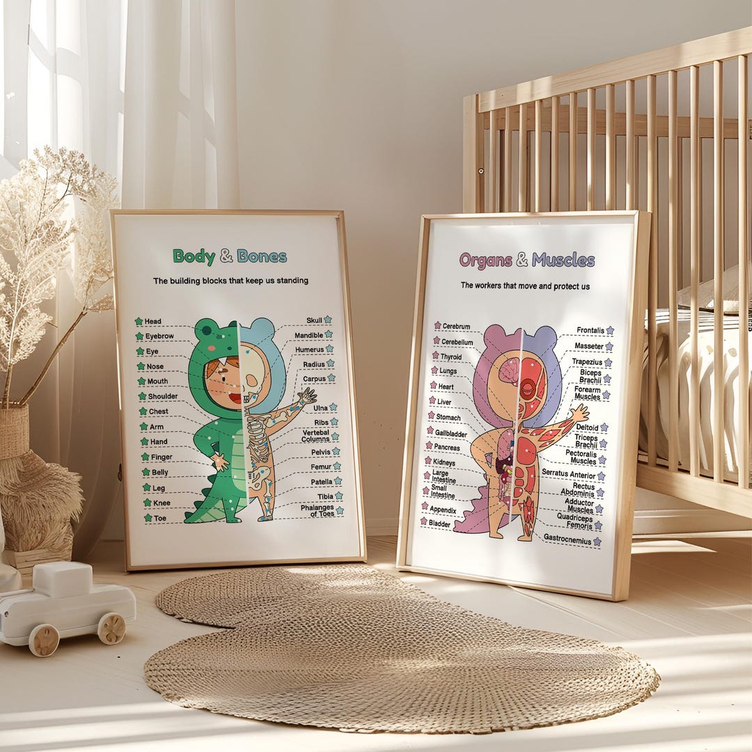Kids Anatomy Poster Set: Body Learning Chart for Classroom Science ...