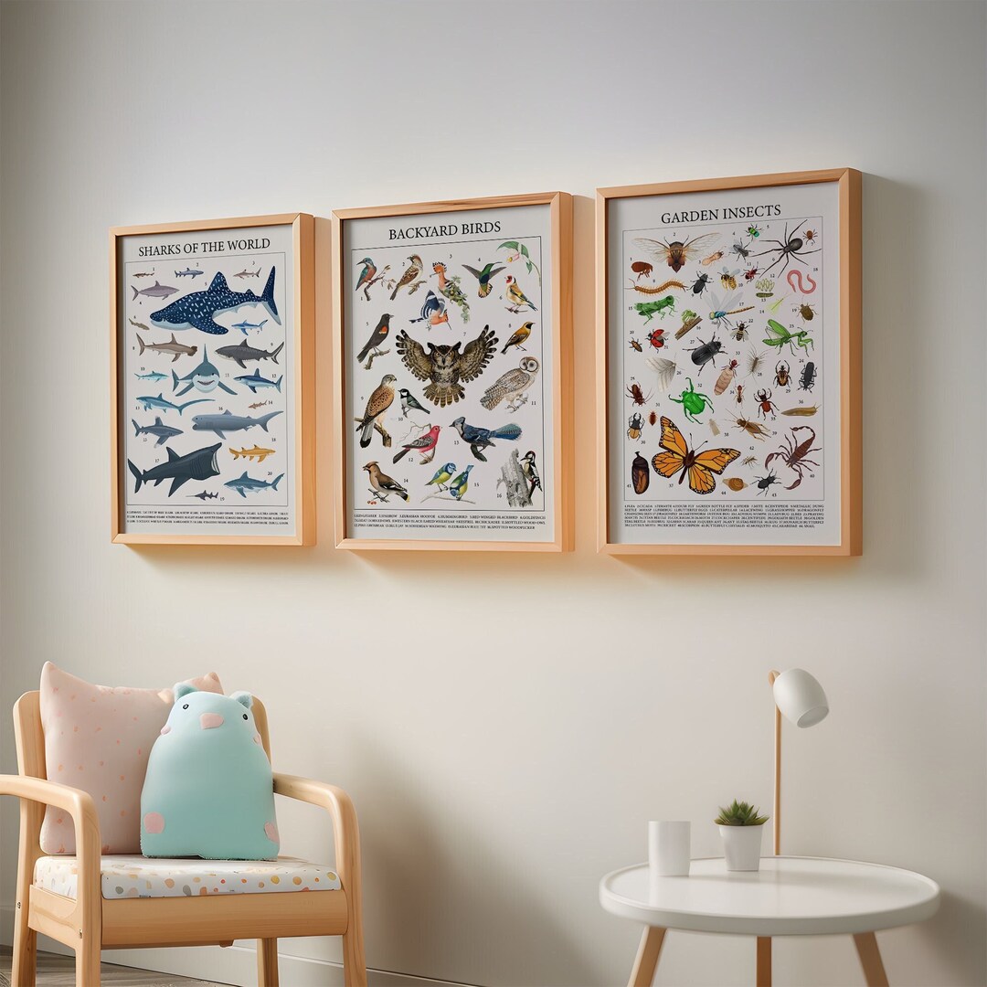 Nature Wildlife Posters for Homeschool Learning and Decor - Etsy