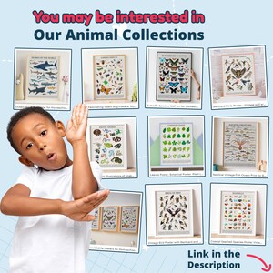 Zones of Feelings Poster, Emotions Chart, Therapy Office, School ...