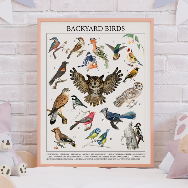 Bird Poster - Etsy