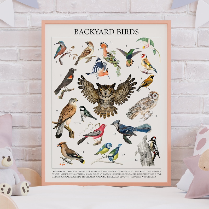 Bird Poster - Etsy