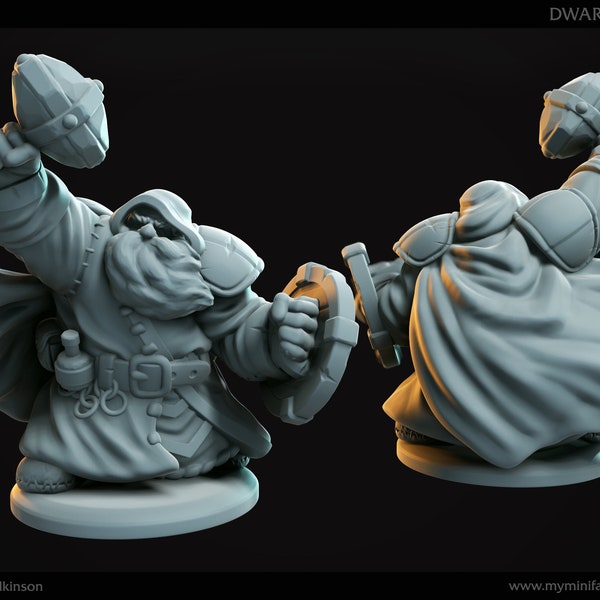 Dwarven Fighter Miniature - Etsy
