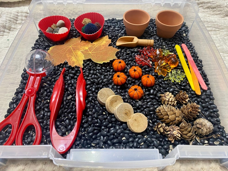 Fall Theme Sensory Bin - Etsy