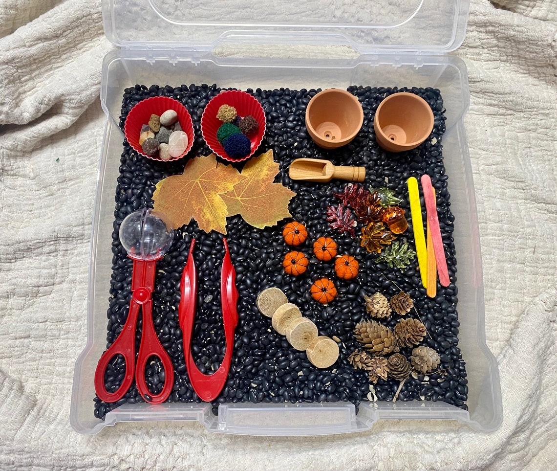 Fall Theme Sensory Bin - Etsy
