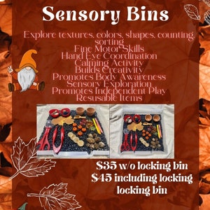 Fall Theme Sensory Bin - Etsy