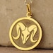 14k Solid Gold Aries Zodiac Necklace, Aries Ram Pendant , Zodiac Solid ...