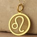 14k Solid Gold Leo Zodiac Necklace , Gold Lion Pendant , Personalized ...