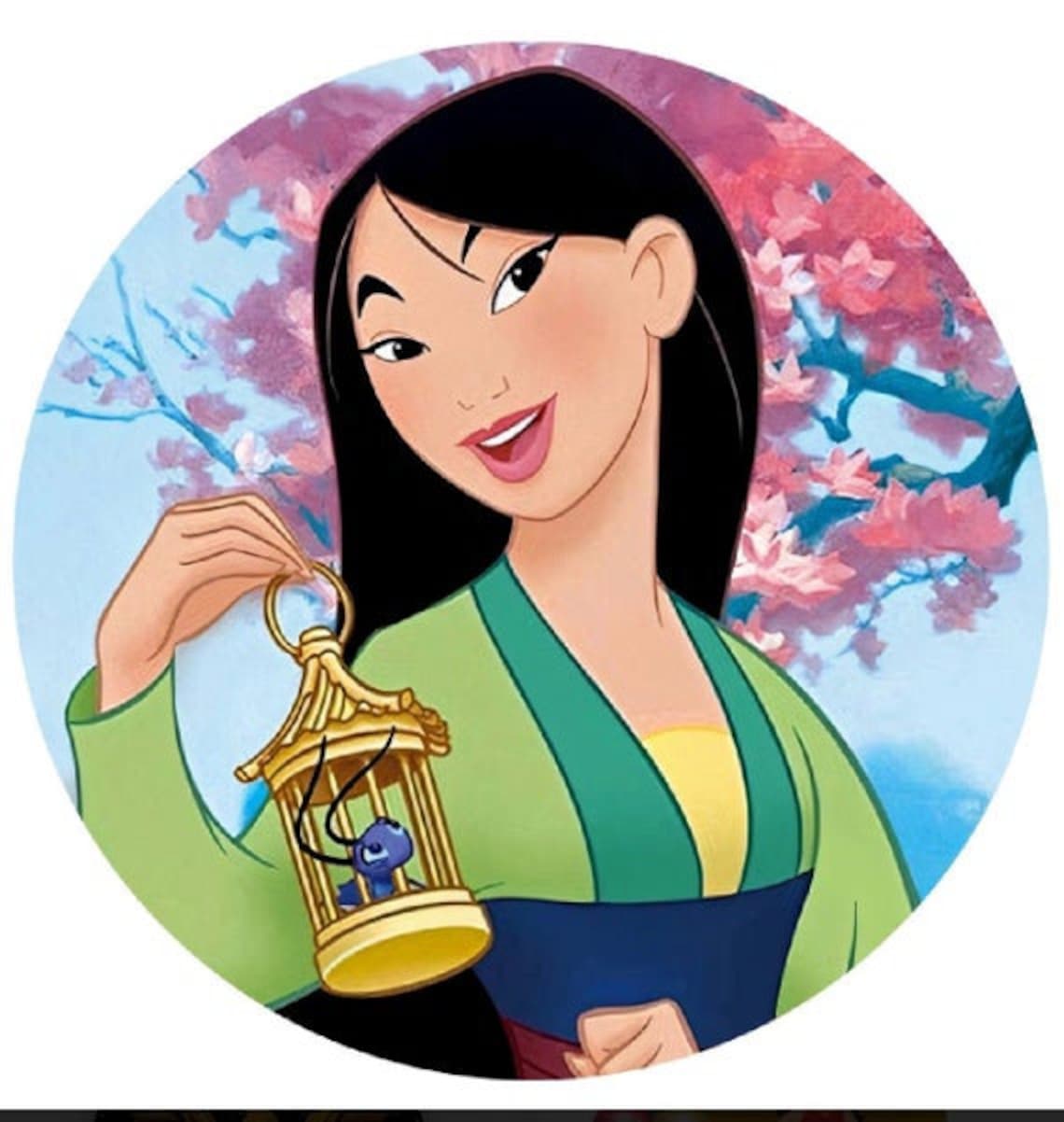 PRINTED Mulan cumpleaños redondo tela telón de fondo Banners | Etsy