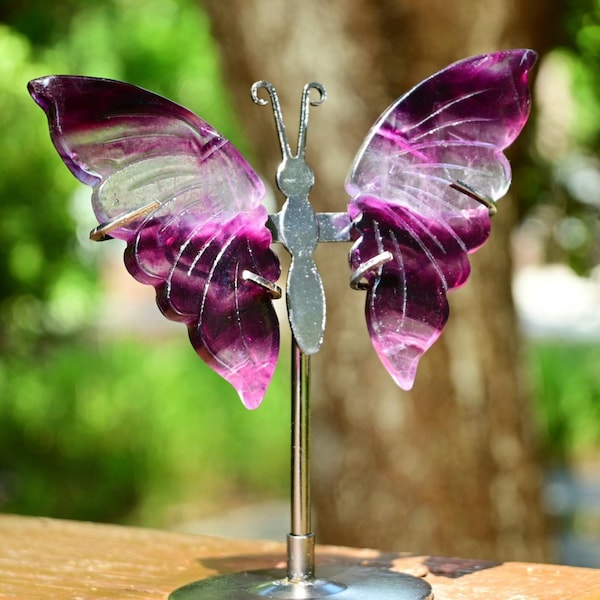 Chakra Butterfly - Etsy