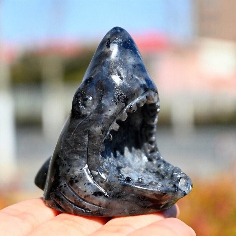Carved Shark - Etsy