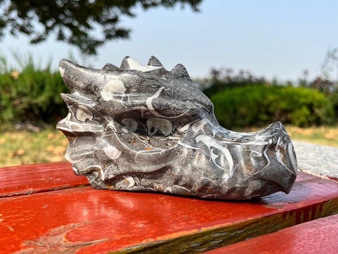 6'' Natural Hand Carved Shellstone Dragon Headquartz Crystalhome ...