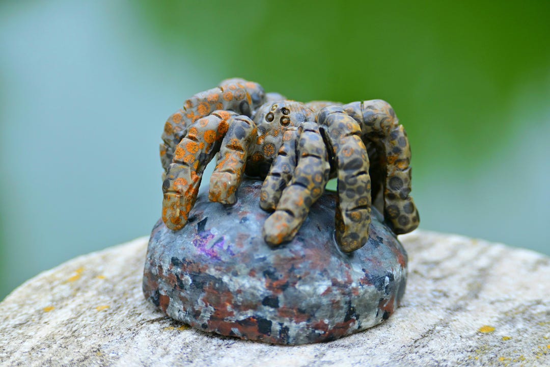 2.3'' Natural Leopard Stone Spider，crystal Spider Carving，spider ...