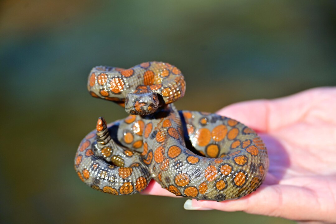 3.3'' Natural Leopard Stone Snake Carving ，crystal Snake Decor，snake ...