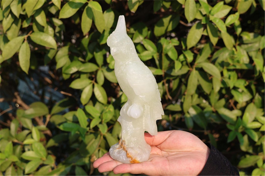0.8kg Natural Afghan Jade Parrot Carved，quartz Crystal Parrot，crystal ...