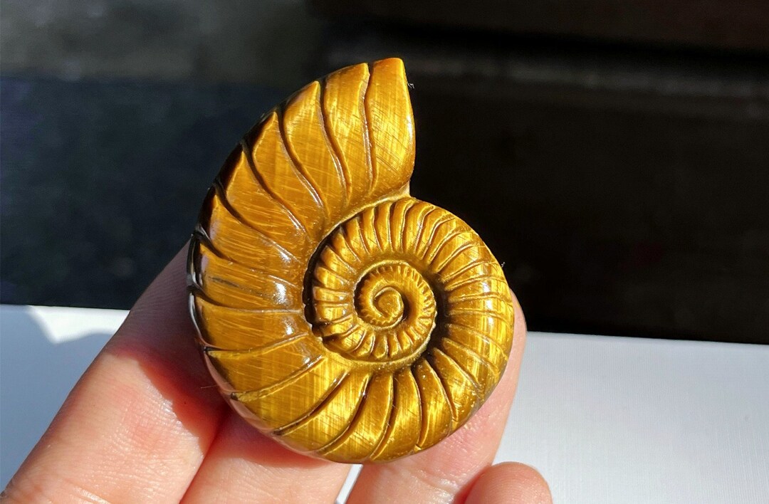 2'' Natural Tiger's Eye Spiral Shell，crystal Whorl，crystal Gift，crystal ...