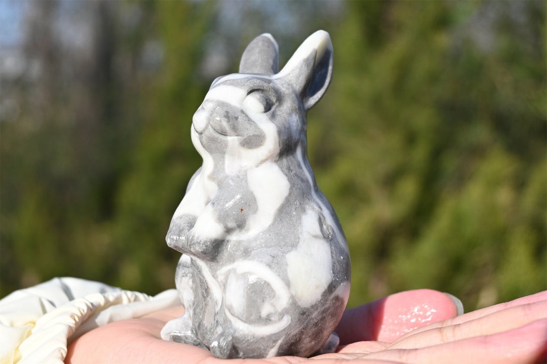4'' Natural Hand Carved Shell Stone Rabbit， Carved Rabbit，crystal ...