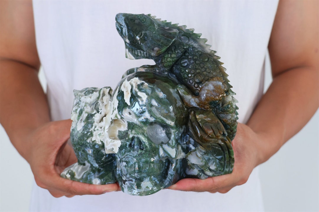 6.16LB Natural Moss Agate Carved Lizard Skull，quartz Crystal，crystal ...