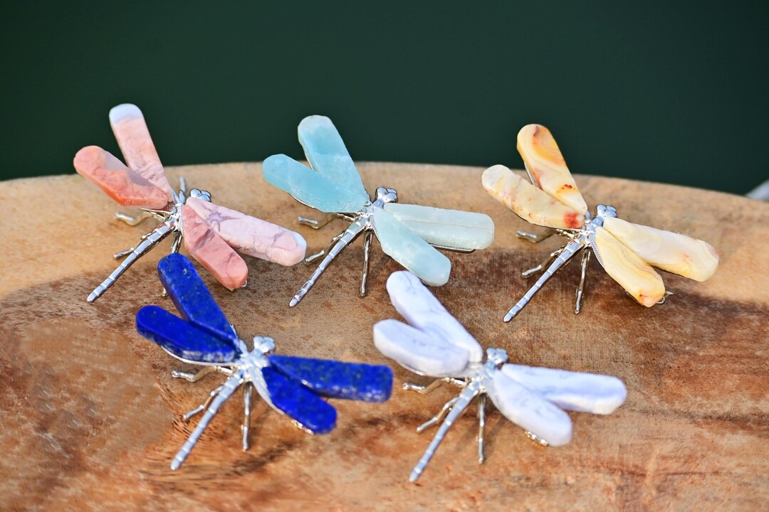 2.4'' Natural Agate Dragonfly Carving，crystal Dragonfly Decor，dragonfly ...
