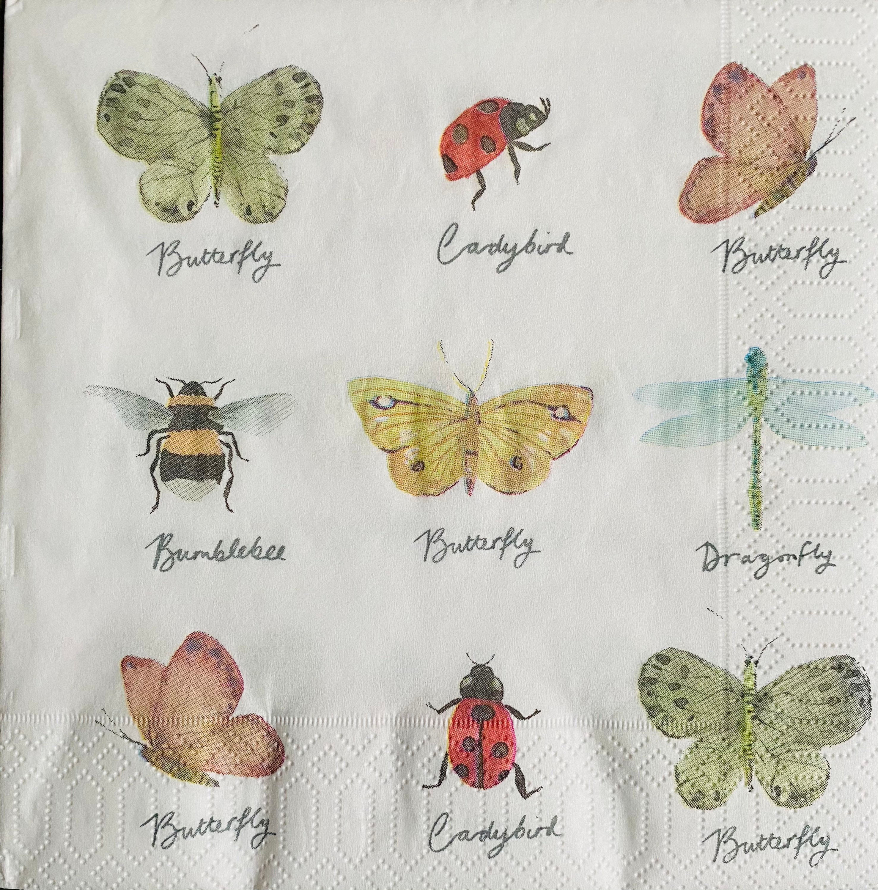 Papercraft INSTANT DOWNLOAD set of Dragonfly trace,cut,drawing aid,junk ...