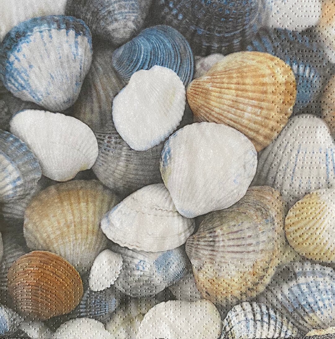 Sea Shell Decoupage Napkin - Etsy