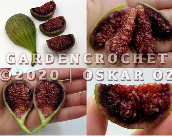 Ponte Tresa - - Fig Tree -> Gardencrochet Fig Orchard - Etsy