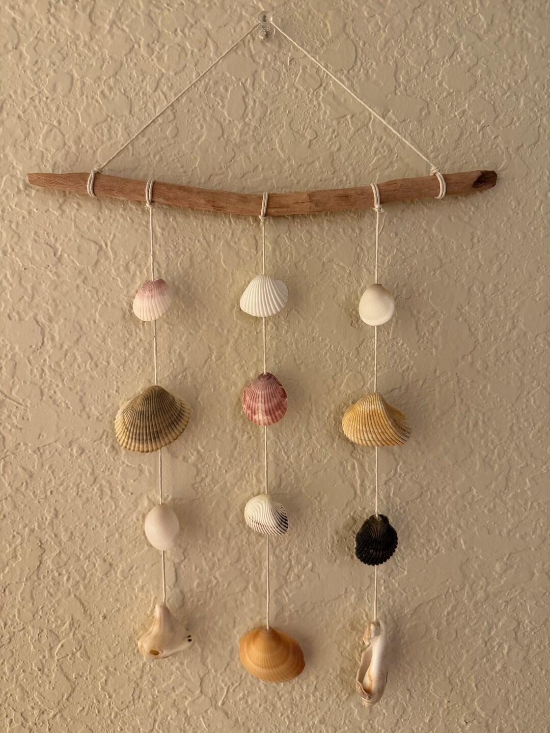 Shell Wall Decor - Etsy