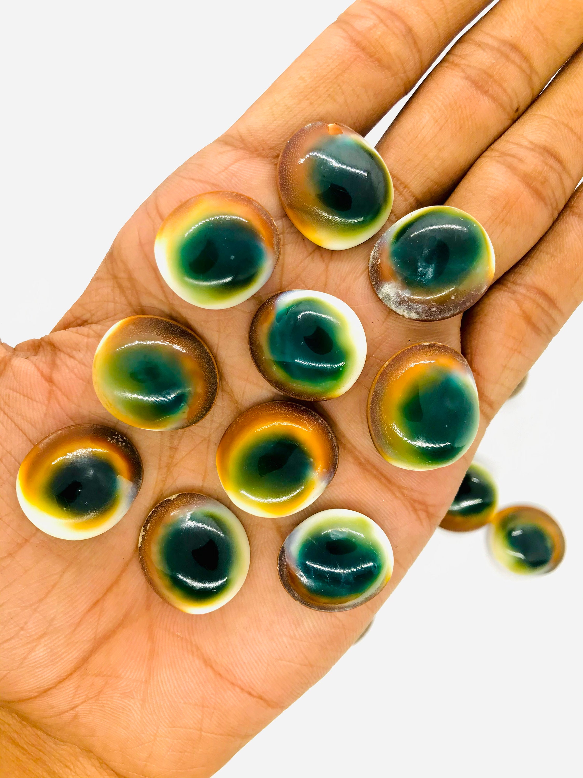 Shiva Eye Gemstone Cabochon Shiva Eye Lot Shiva Eye Stone | Etsy