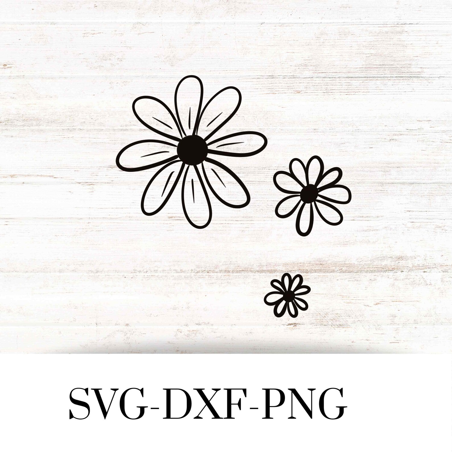 Daisy SVG Daisy Clipart PNG Graphic File Daisy PNG File - Etsy