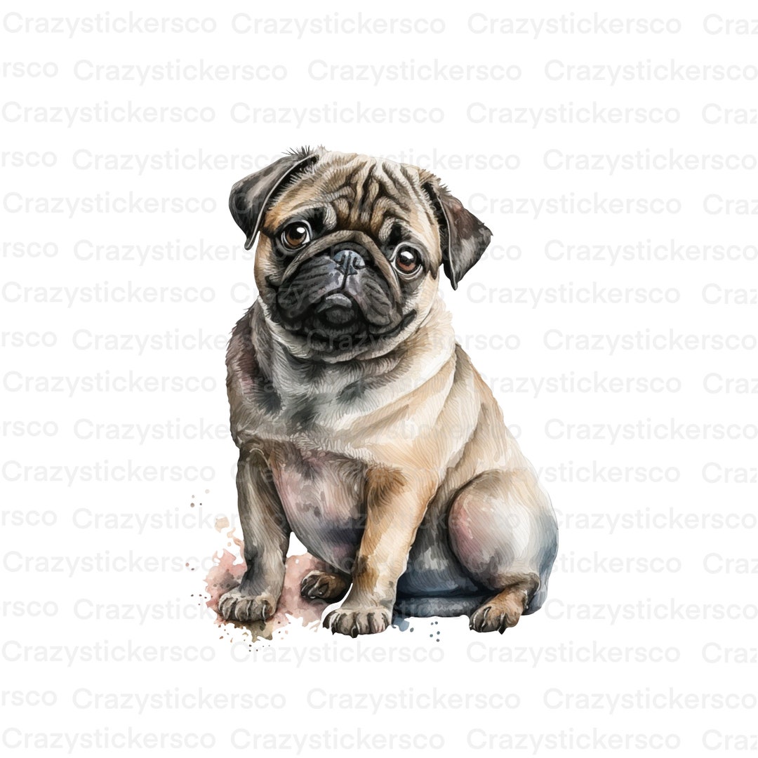 Pug Dog Watercolour PNG Graphic , Pug PNG , Cute Pug Watercolour ...