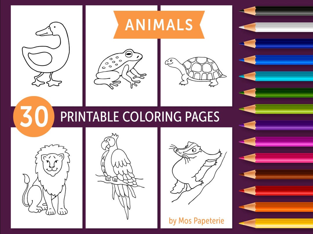 30 Animals Printable Coloring Pages | Instant Download PDF and JPG I A4 ...