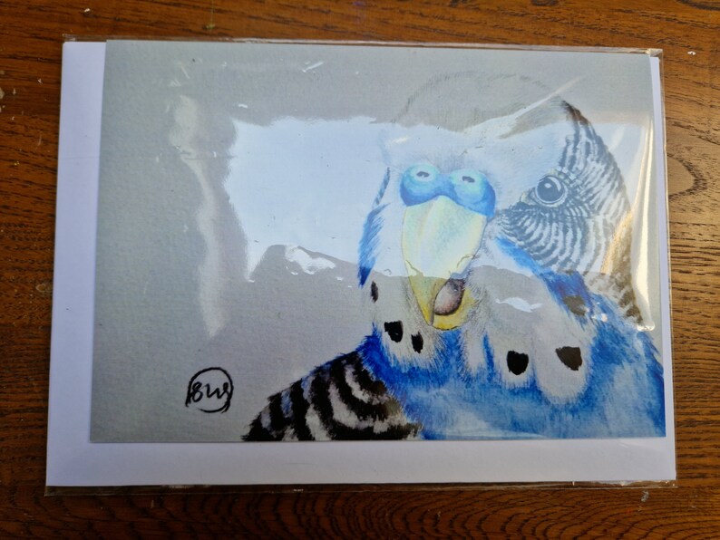 bluey-the-budgie-a5-size-greetings-card-original-fine-art-etsy